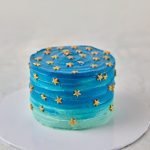 Bento Cakes – The Cake Factory